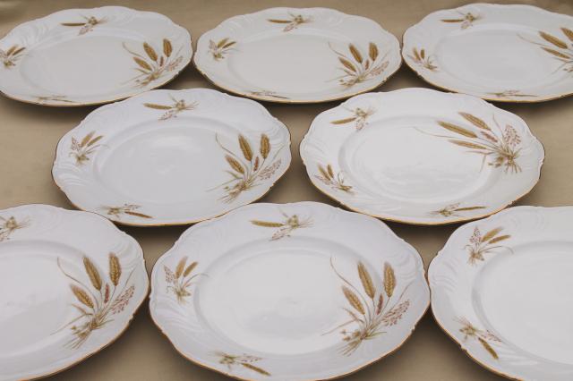 Winterling Bavaria autumn harvest wheat pattern china dinner plates ... Winterling Bavaria autumn harvest wheat pattern china dinner plates ...
